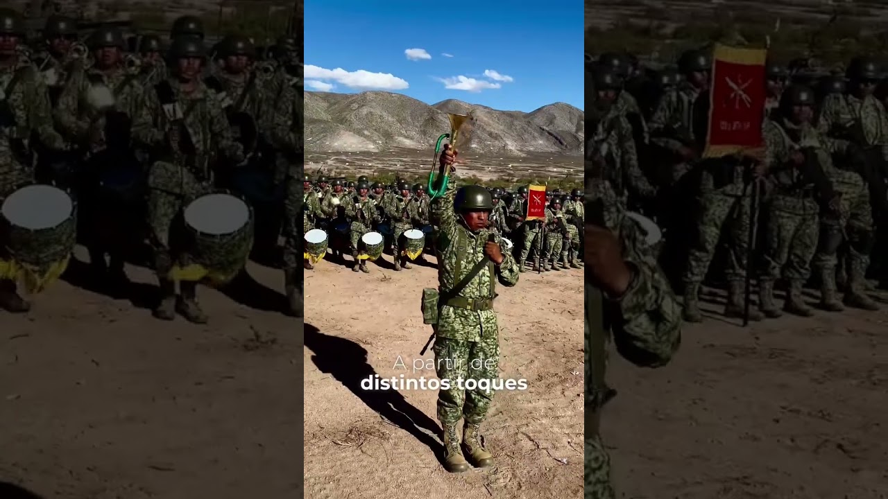 Ejemplos de protocolo militar: importancia y aplicación en la defensa ...